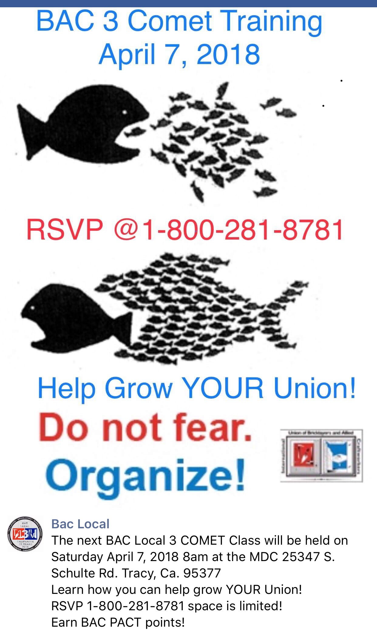 Bricklayers, Tilesetters and Allied Craftworkers Local 3 Union BAC 3 ...